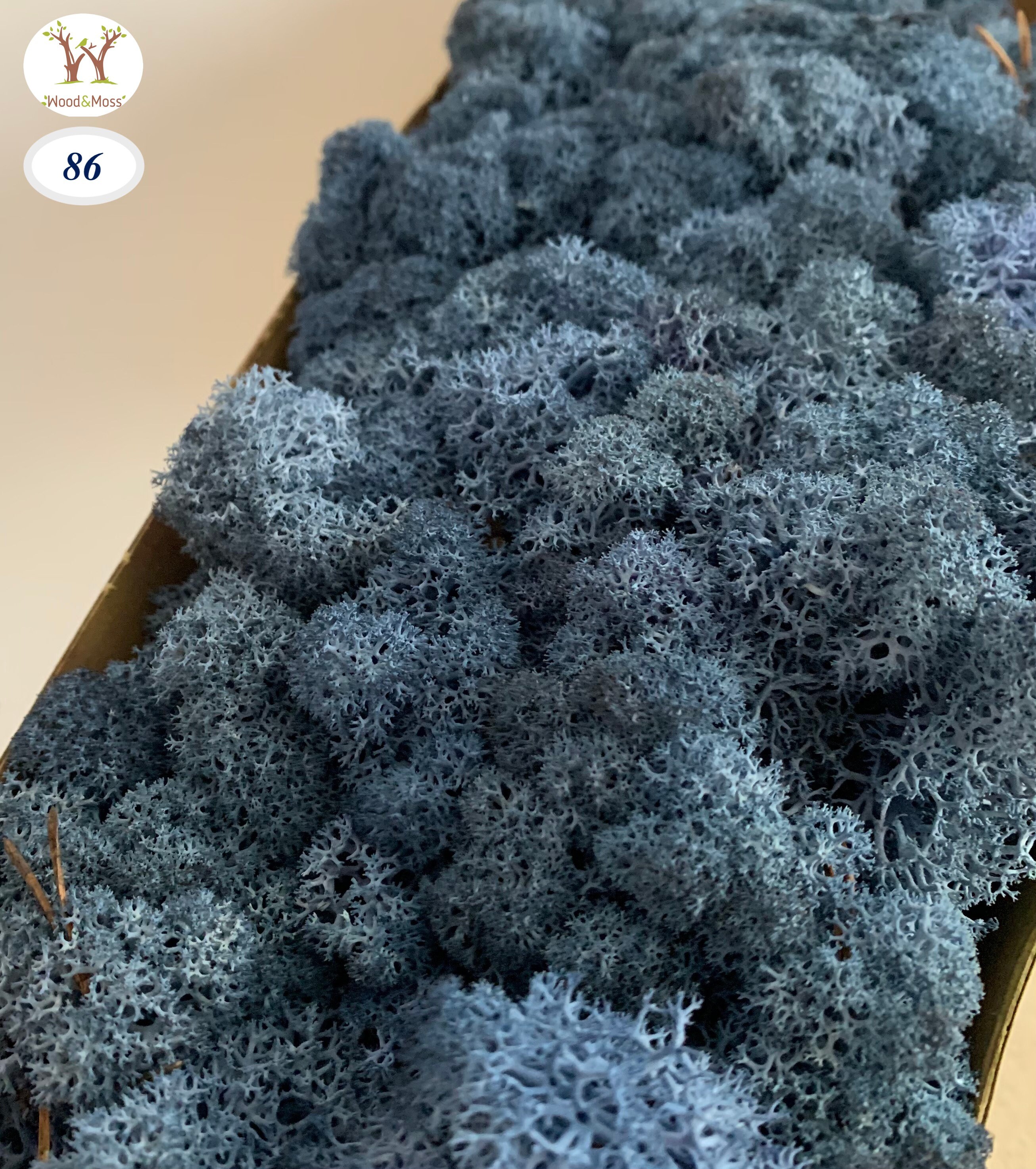 Púrpura Musgo azul preservado Azul claro Musgo de color | Etsy