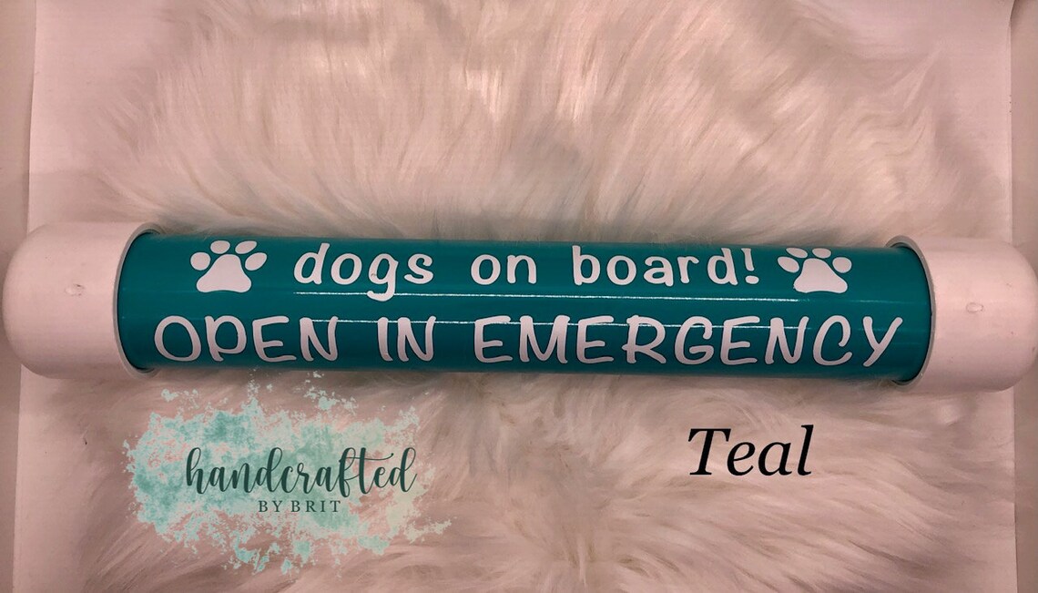 Emergency Dog Kit Car Kit Dog Info Pet Care Pet Safety - Etsy