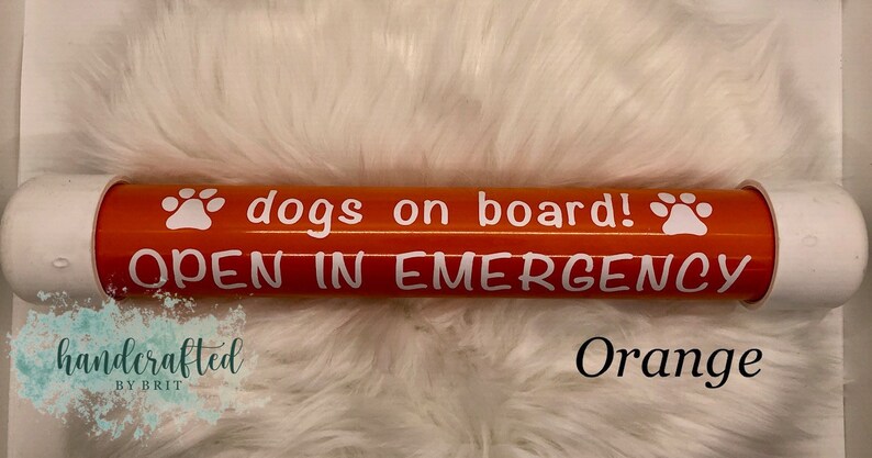 Emergency Dog Kit Car Kit Dog Info Pet Care Pet Safety - Etsy