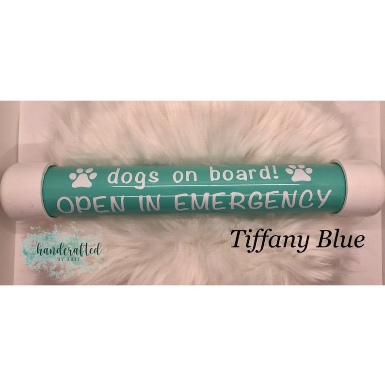 Emergency Dog Kit Car Kit Dog Info Pet Care Pet Safety - Etsy