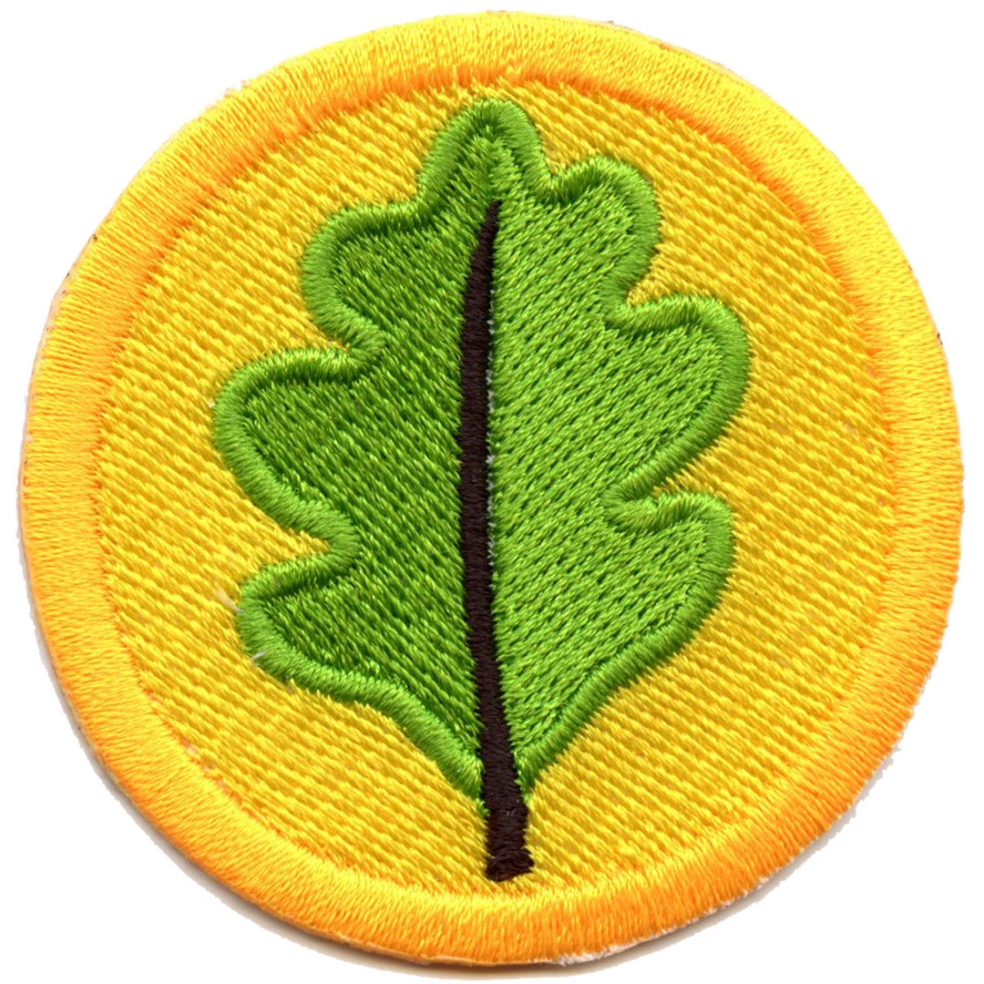 Leaf Education Badge Patch Tree Wilderness Scout Sash Iron on ...