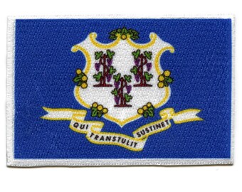 Connecticut State Flag - Etsy