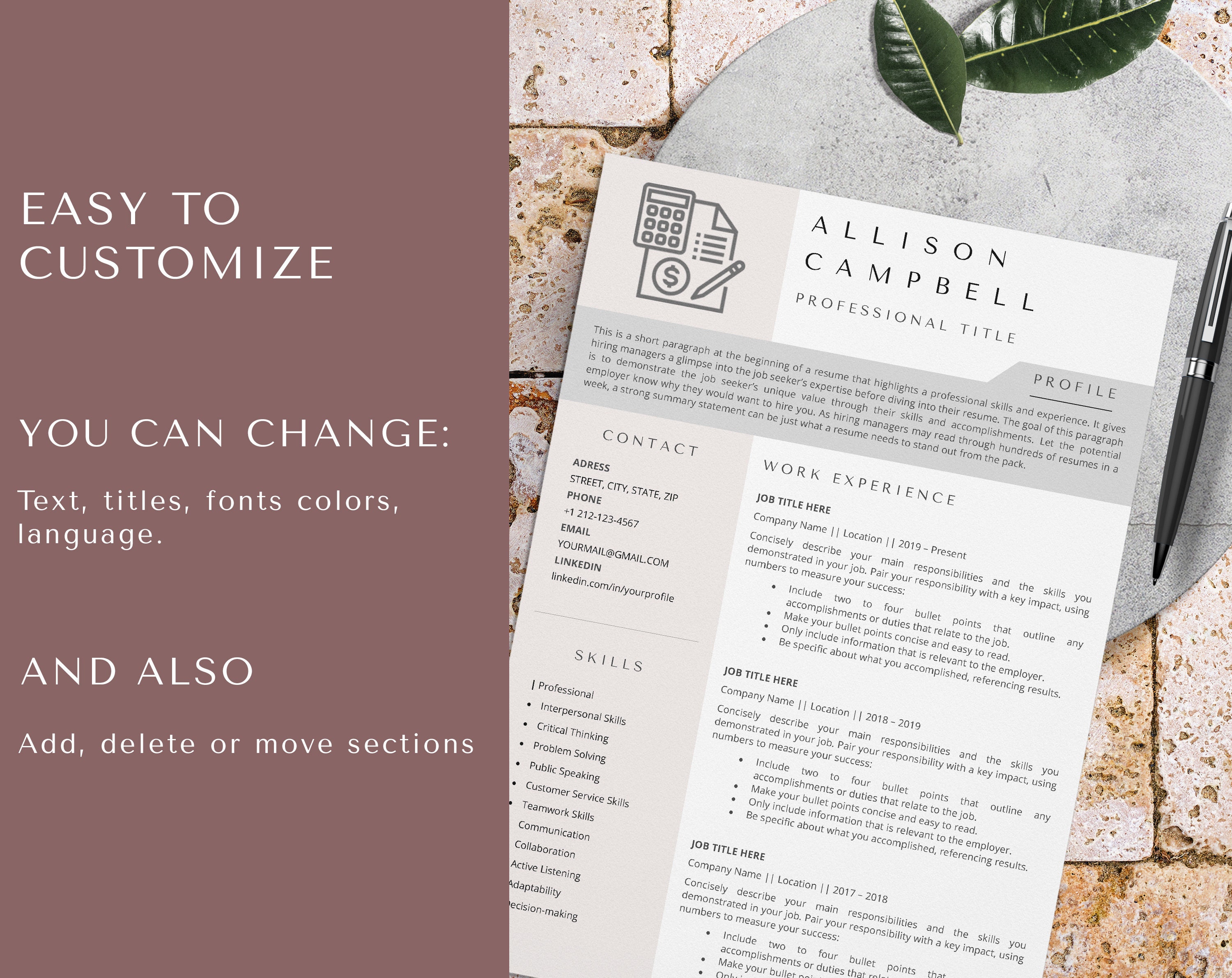 Professional Accountant Resume Template for Word, Accountant Assistant ...