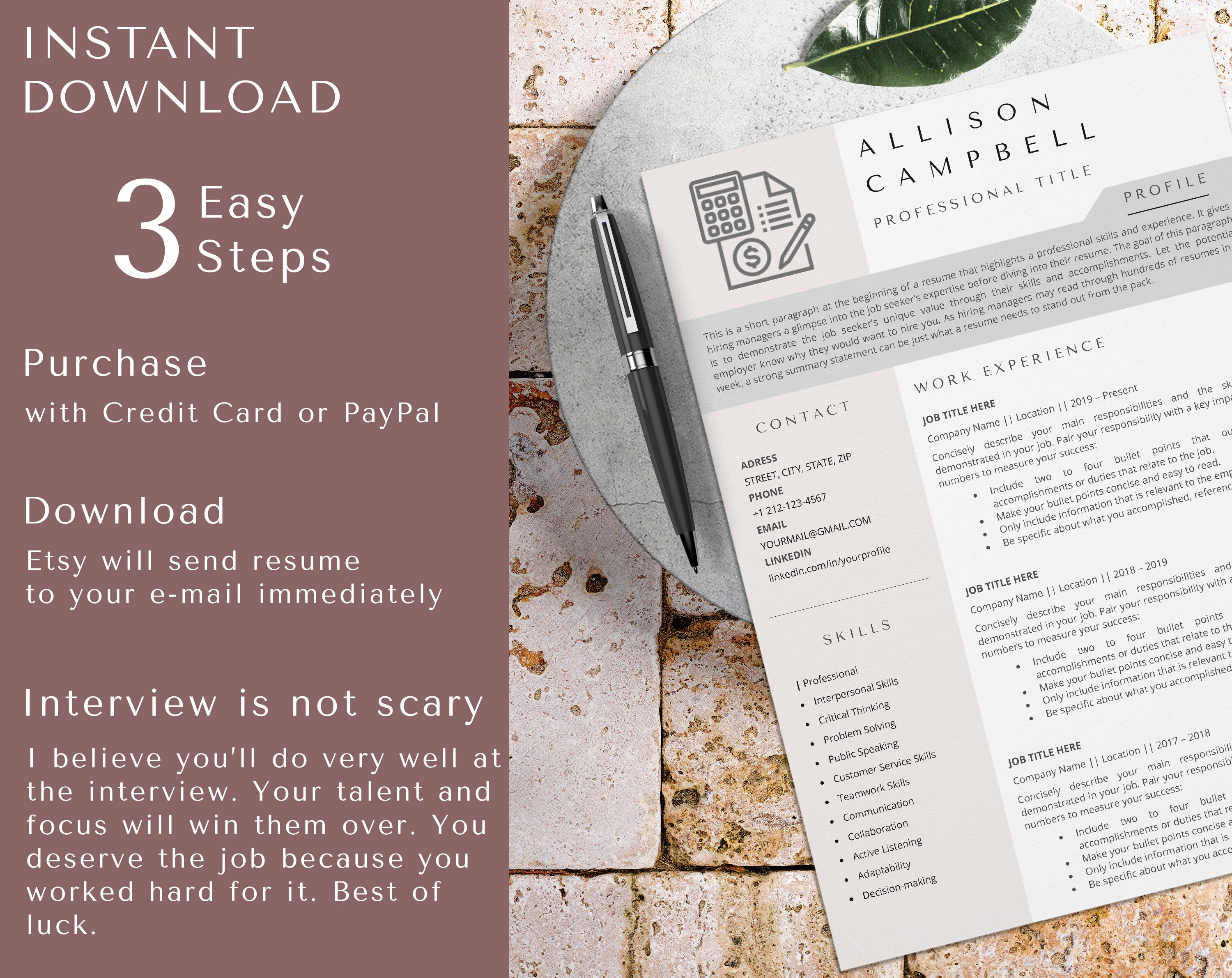 Professional Accountant Resume Template for Word, Accountant Assistant ...