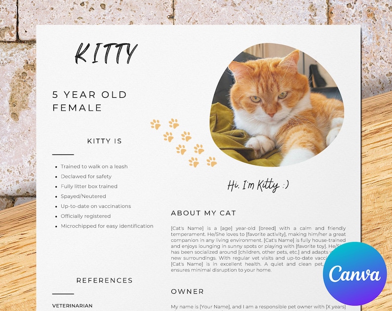 Cat Resume Rental Application for Canva, Cat Resume for Rental, Cat ...