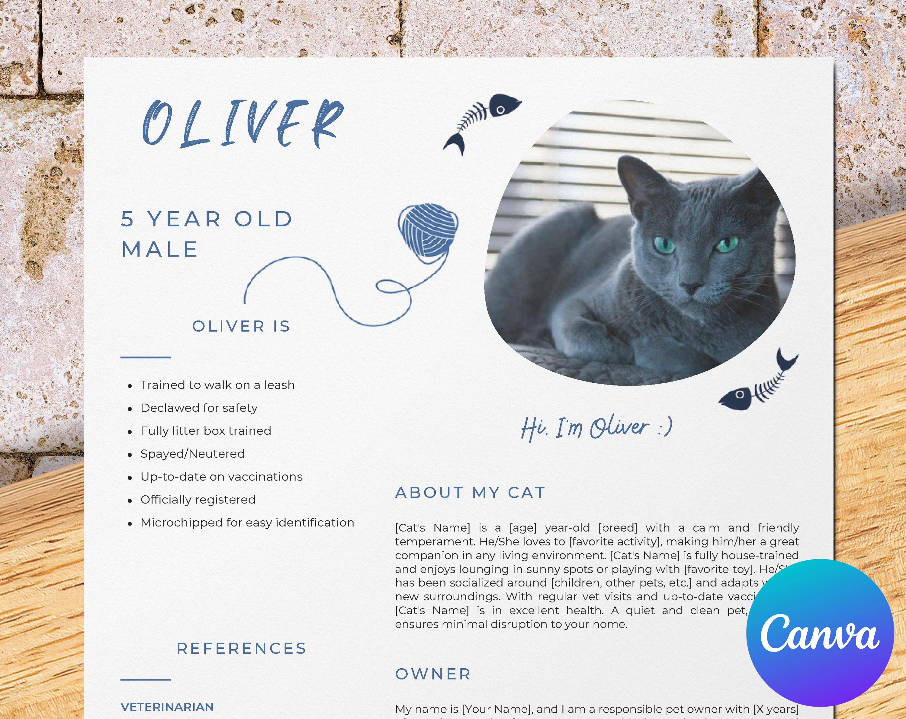 Cat Resume With Photo for Canva, Cat Resume for Rental Application, Cat ...