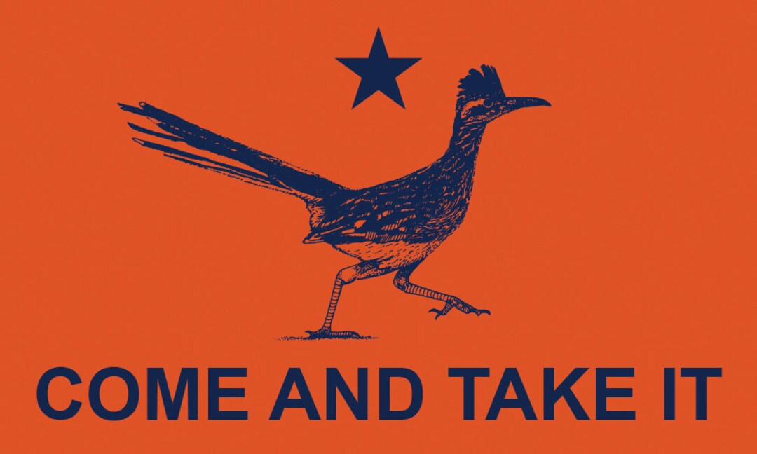 Hampton Roadz Come and Take It Flag - Etsy