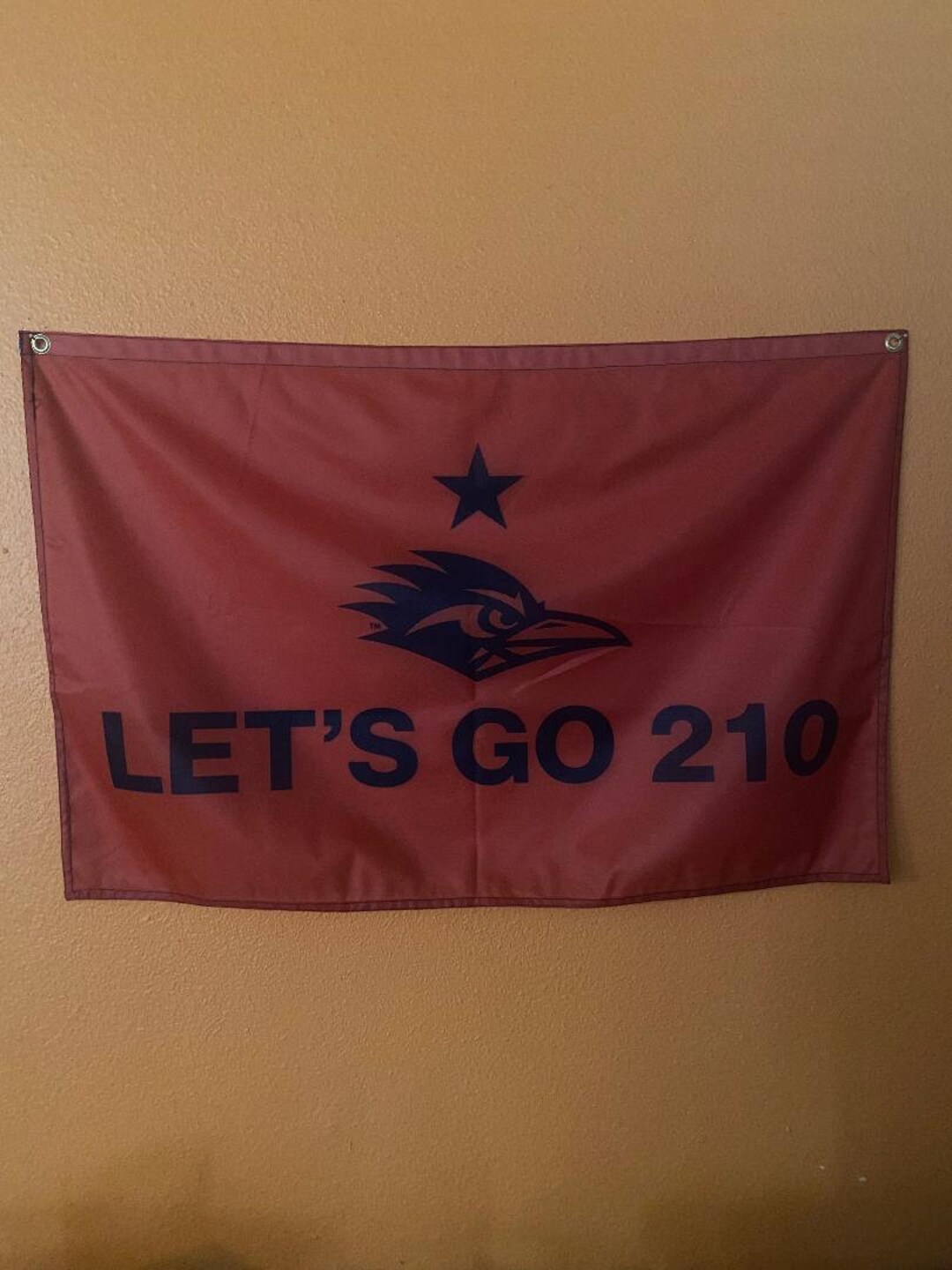 UTSA Let's Go 210 Hand Flag - Etsy