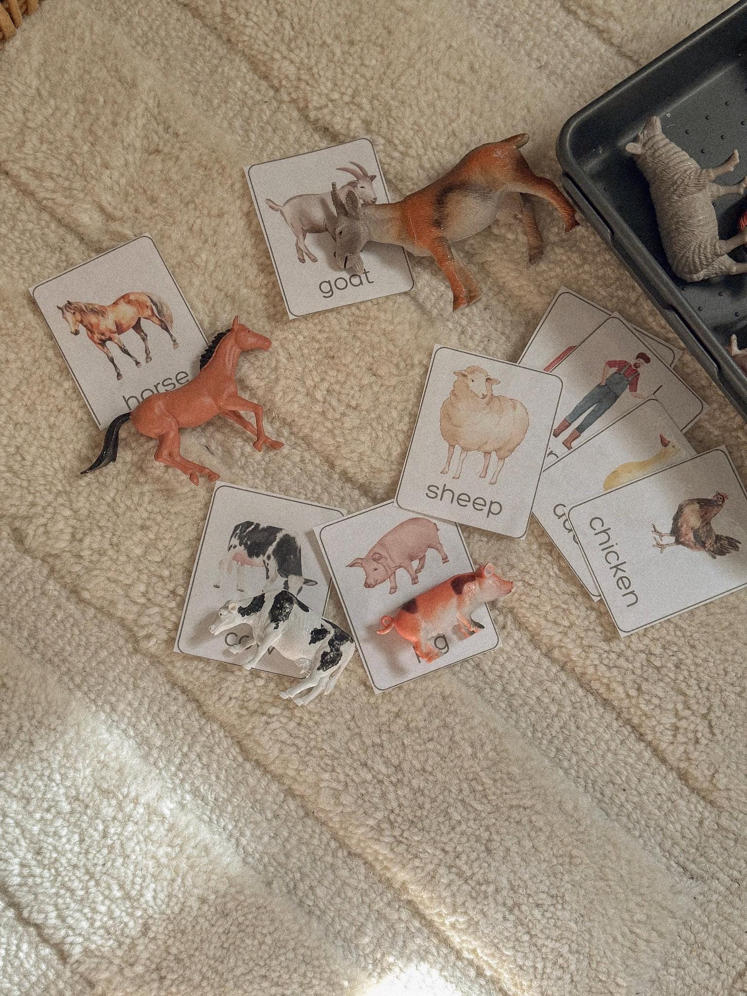 Farm Cards | Toddler + Preschool Education | Digital Download | Toddler ...