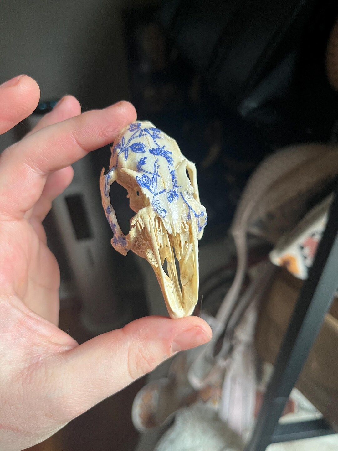 Decoupage Bones - Etsy