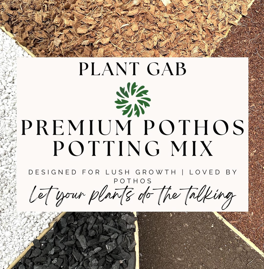 Premium Potting Mix for Pothos | Fast Draining Soil for Pothos, Golden ...