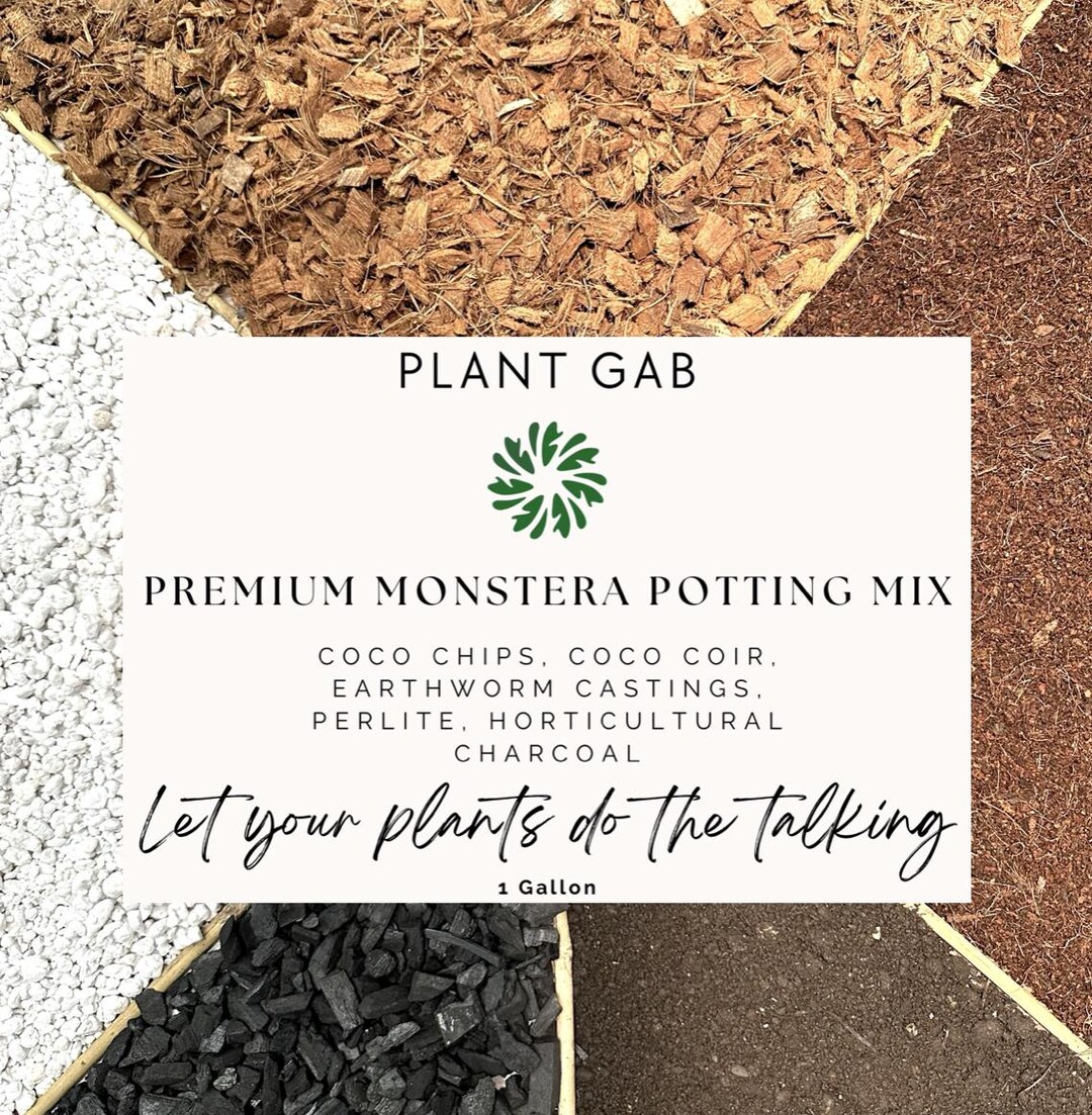 Premium Potting Mix for Monstera Soil Free Mix for Monstera Peat Free ...