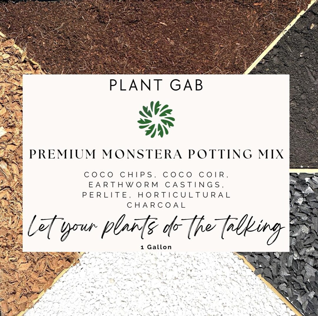 Premium Potting Mix for Monstera – Soil Free Mix for Monstera - Peat ...