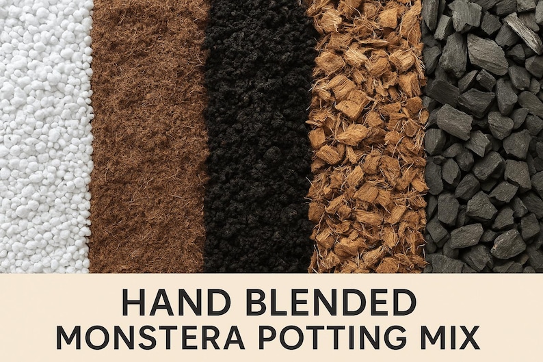 Premium Potting Mix for Monstera | Soil Free Mix for Monstera | Peat ...