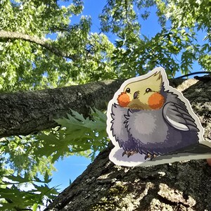 Cockatiel Borb (bird) Die Cut Vinyl Sticker 3in - Etsy