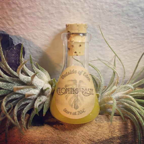 Cloning Paste for plant Propagation Keiki Paste Scientist | Etsy