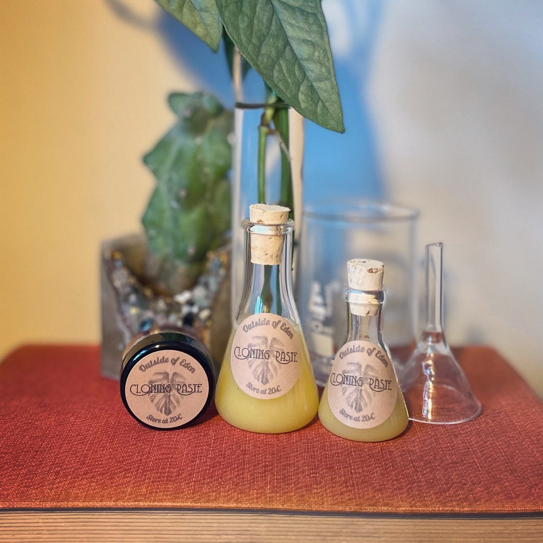 Cloning Paste for Plant Propagation Keiki Paste Scientist Made - Etsy