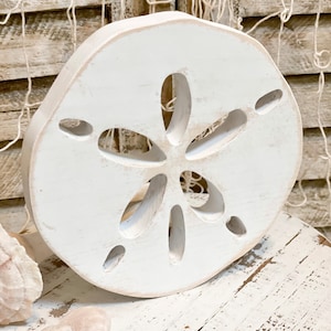 Sand Dollar, Beach Decor, Summer Decor, Ocean, Beach Theme, Coastal ...