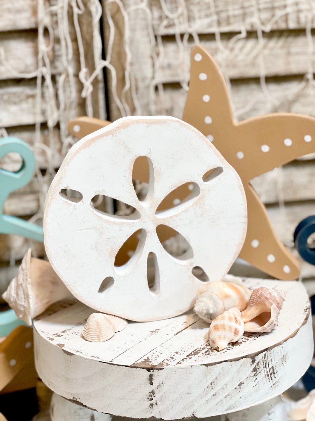 Sand Dollar, Beach Decor, Summer Decor, Ocean, Beach Theme, Coastal ...