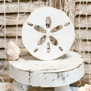 Sand Dollar, Beach Decor, Summer Decor, Ocean, Beach Theme, Coastal ...