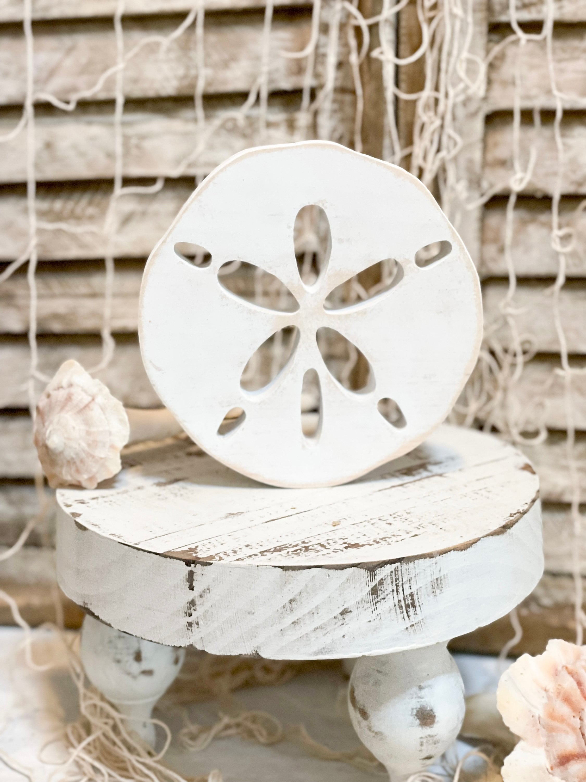 Sand Dollar, Beach Decor, Summer Decor, Ocean, Beach Theme, Coastal ...