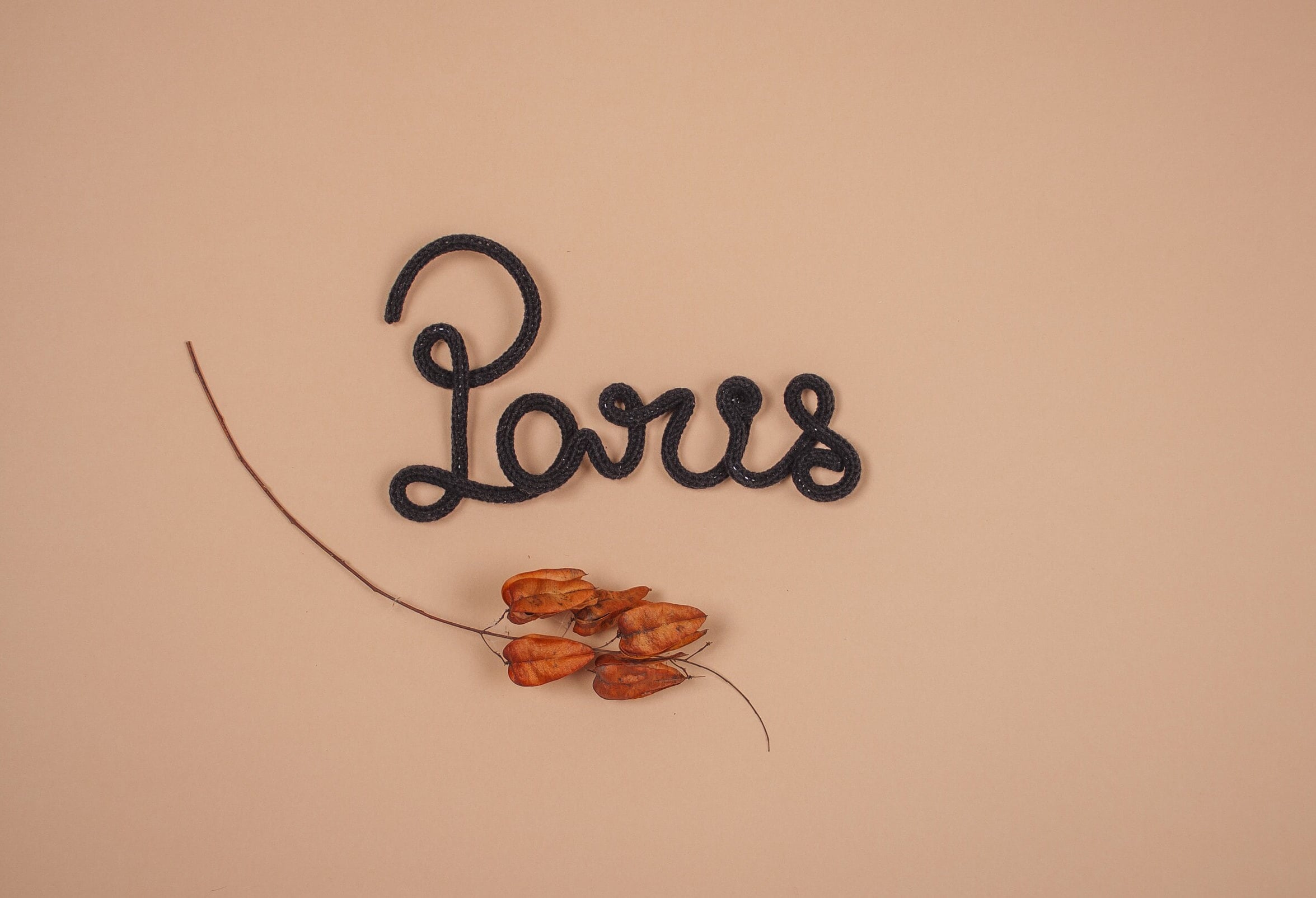 Custom Tricotin Name, Tricotin Words and Quotes, Knitted Wire Sign ...