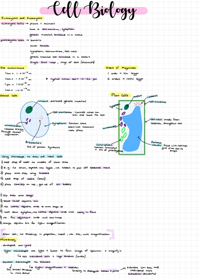 AQA GCSE Biology Grade 9 Notes - Etsy