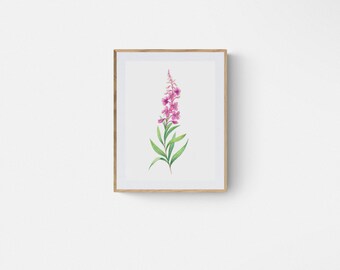 Fireweed Svg - Etsy