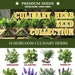 Culinary Herb Seed Collection Kit 10 Essential Heirloom Cook Seed ...