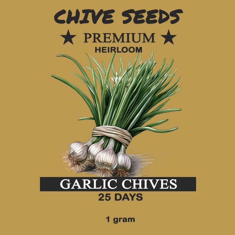 Culinary Herb Seed Collection Kit - 10 Essential Heirloom Cook Seed ...