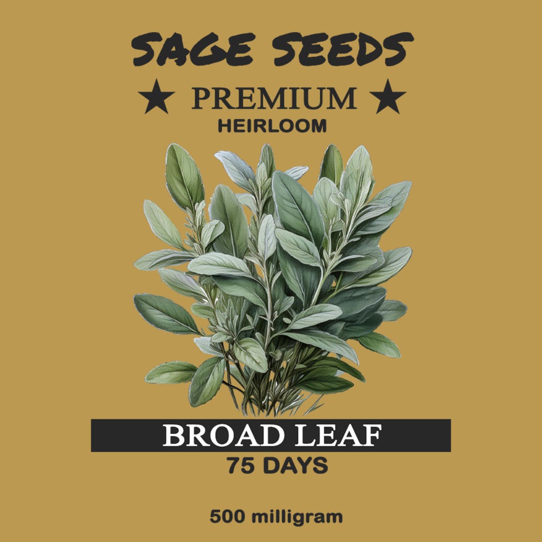 Sage Seeds - Broad Leaf Heirloom Seed Chef Greens Culinary Gourmet Mix ...