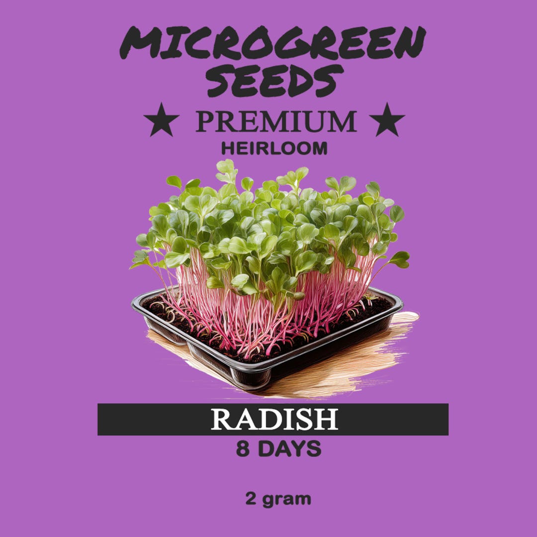 Microgreen Seeds - Organic Rambo Radish Premium Best Heirloom Cook Seed ...