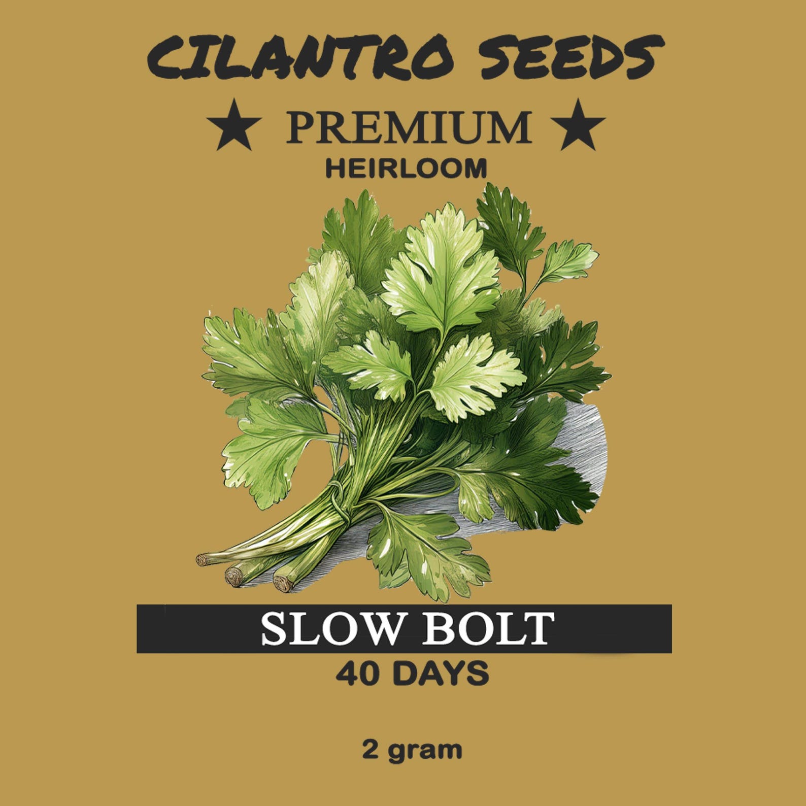 Culinary Herb Seed Collection Kit - 10 Essential Heirloom Cook Seed ...