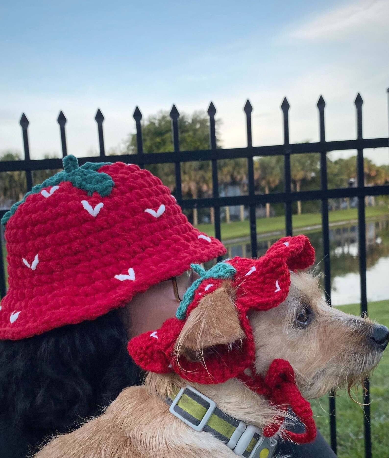 Matching Crochet Human + Dog Hats - W/ FREE Mini Sketch Portrait of ...
