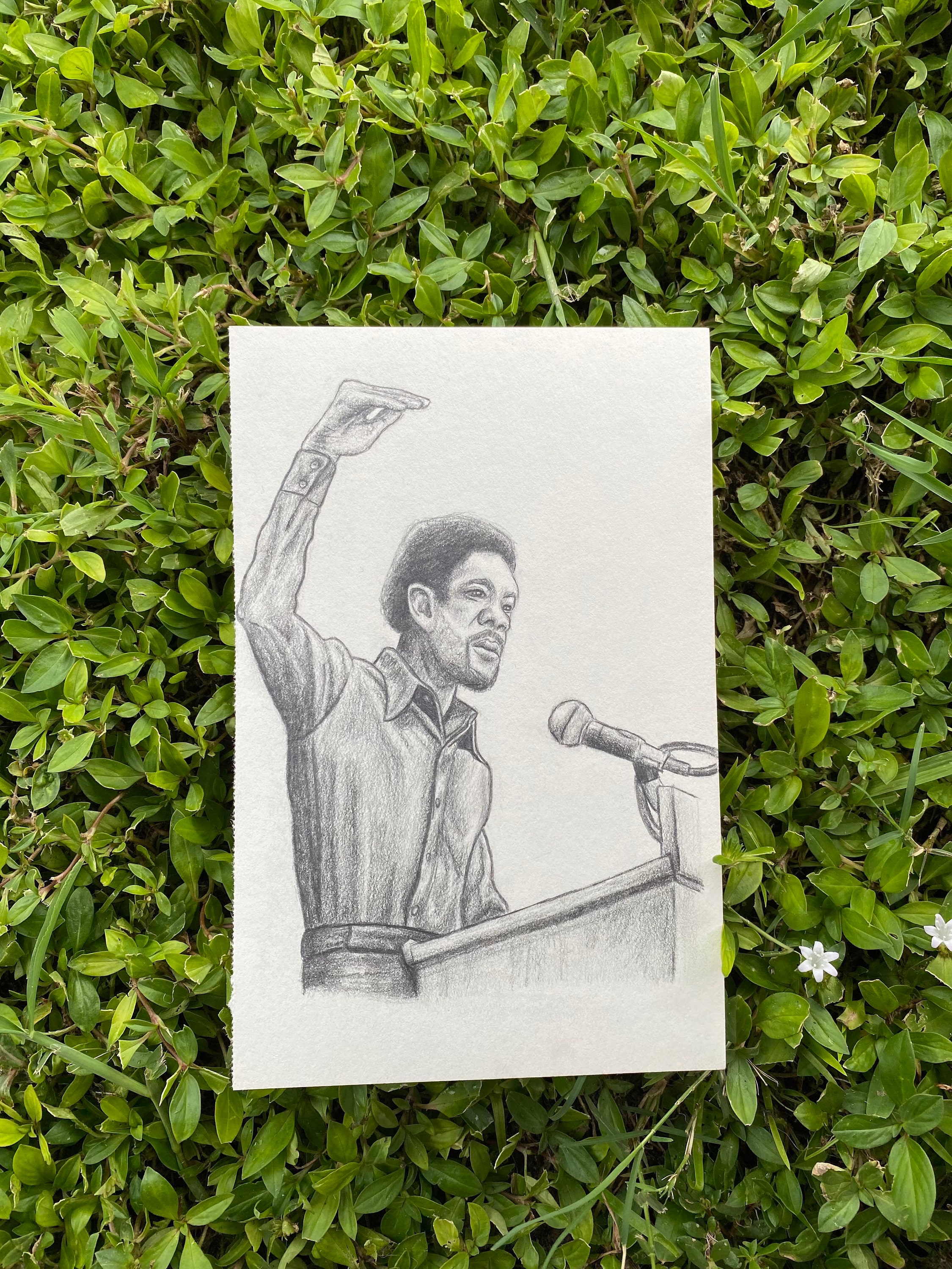ORIGINAL 'Bobby Seale' Graphite Pencil Drawing | Etsy