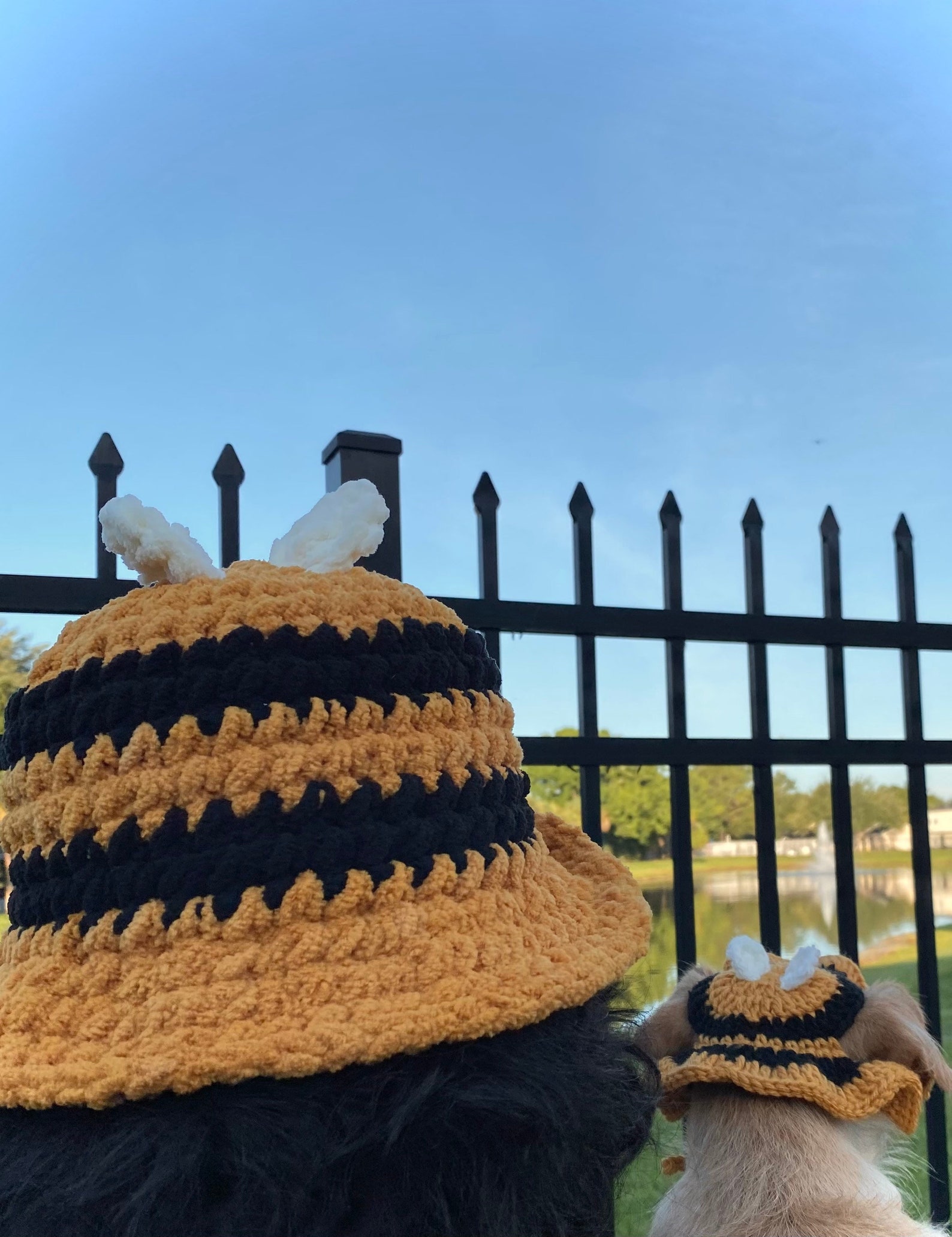 Matching Crochet Human Dog Hats W/ FREE Mini Sketch Portrait of Your ...