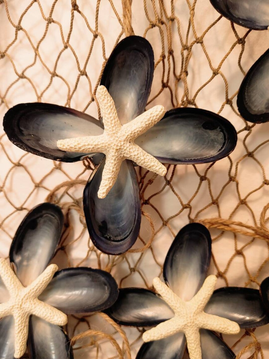 Mussel Shell Ornaments - Etsy