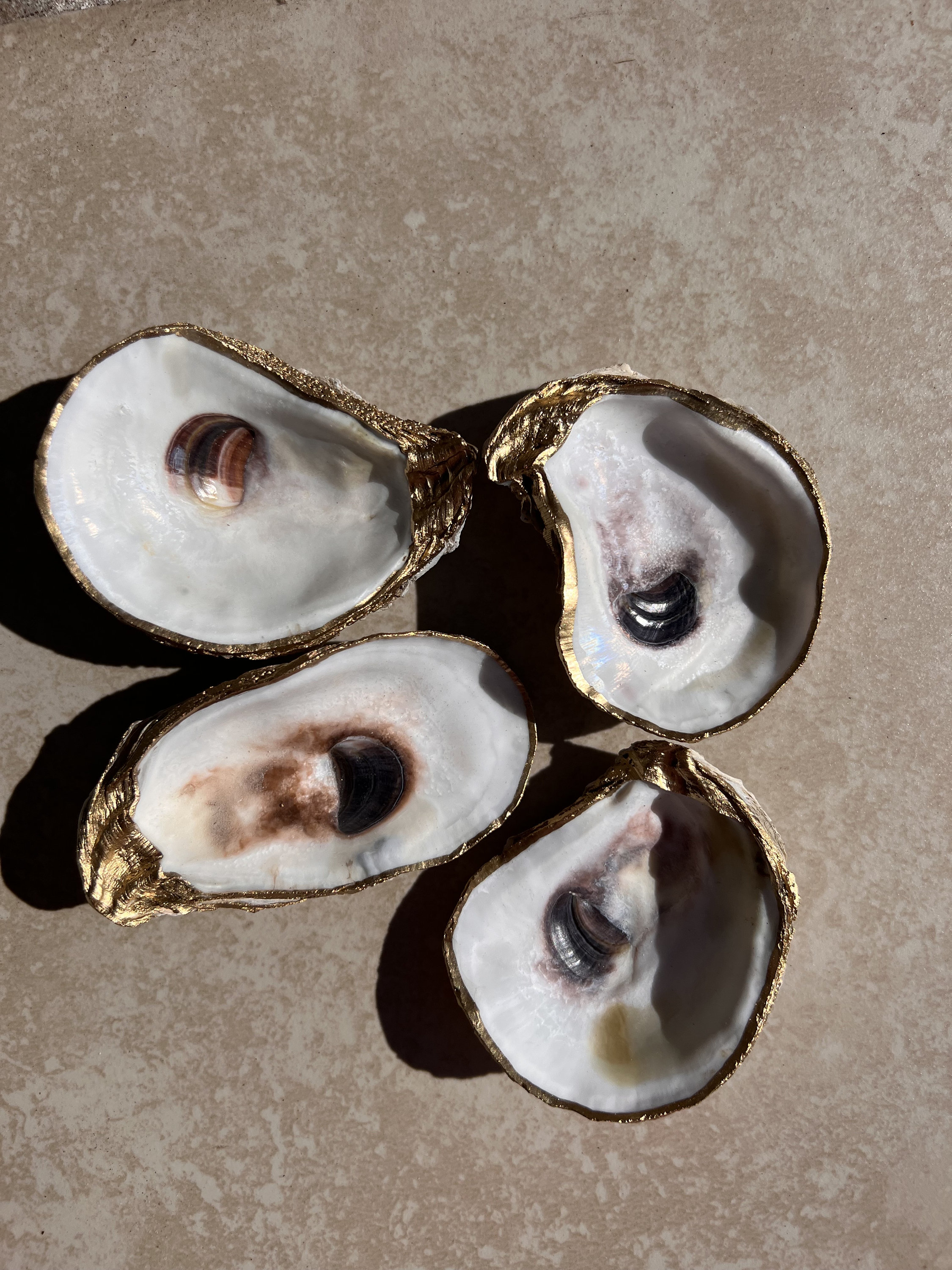 GOLD RIMMED Oyster Shells - Etsy