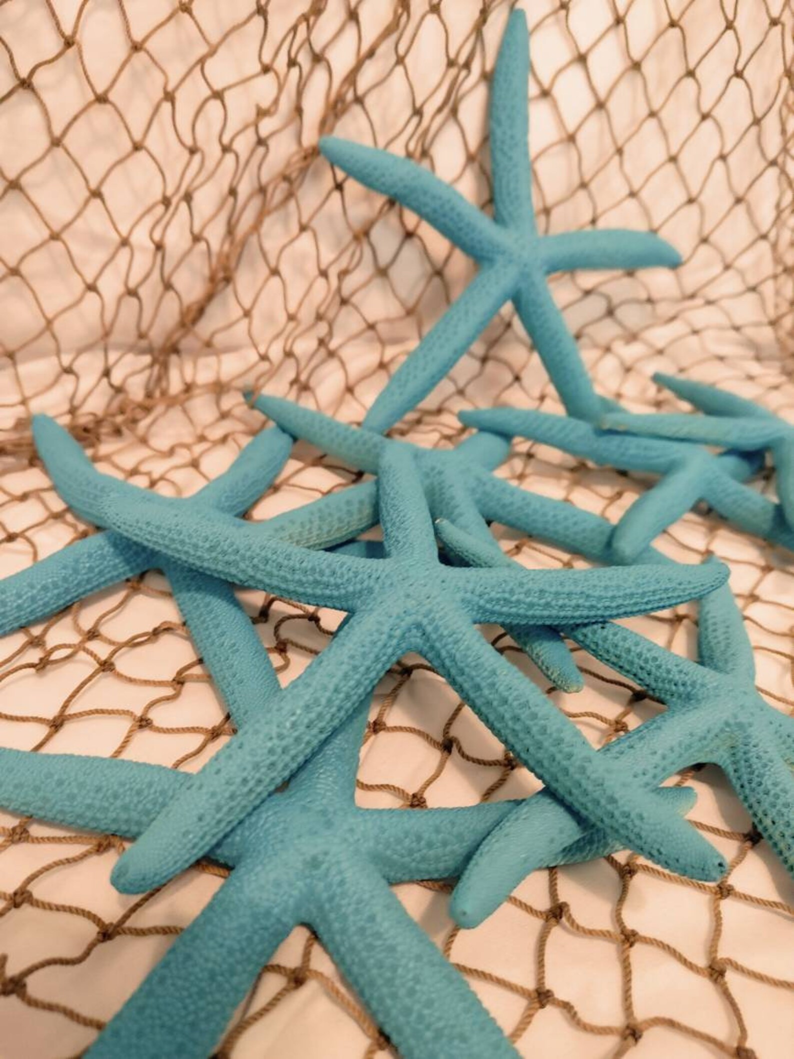 Starfish Painted - Etsy