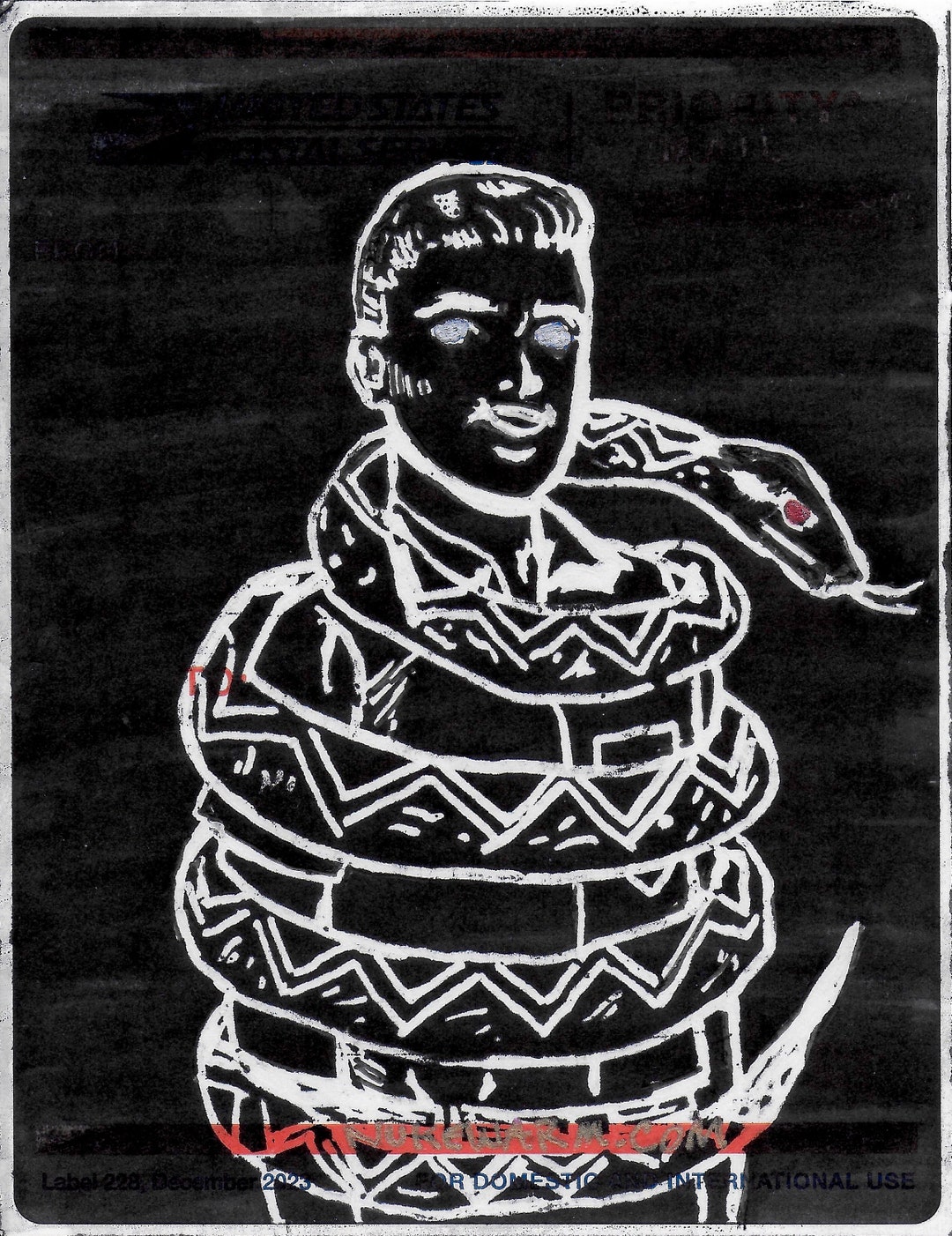 Boa Constrictor Diagram : Label 228 Slaps - Etsy