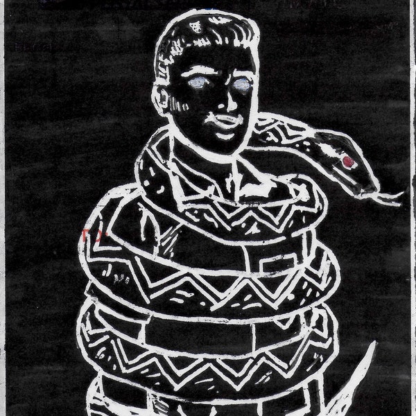 Boa Constrictor - Etsy