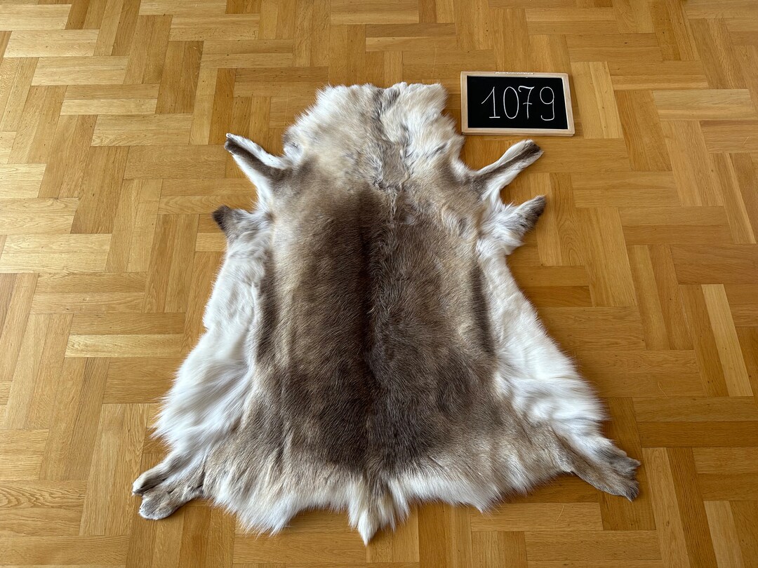 Luxurious Reindeer Skin B Grade Giant Size Unique 130 X 120 Cm - Etsy