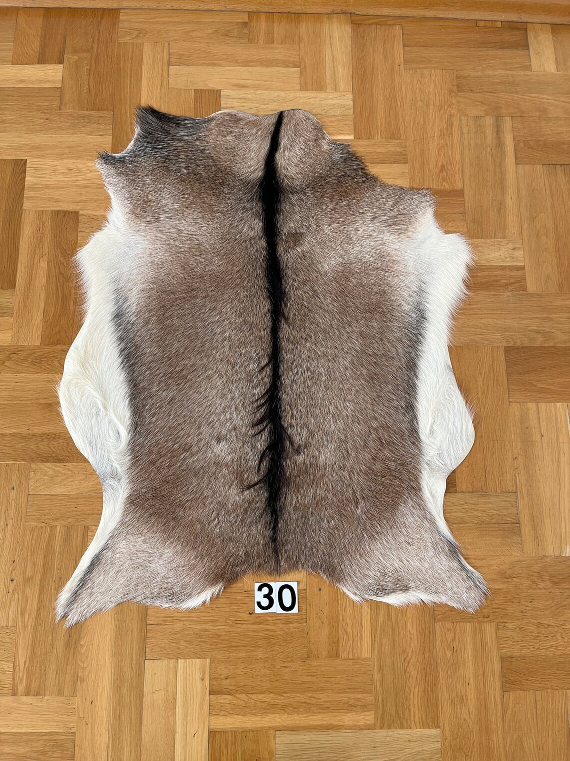 Goat Skin Exclusive 98 X 80 Cm Genuine Hide Rug Goatskin Pelt - Etsy