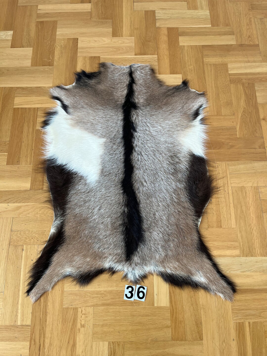 Goat Skin Exclusive 107 X 81 Cm Genuine Hide Rug Goatskin Pelt Leather ...