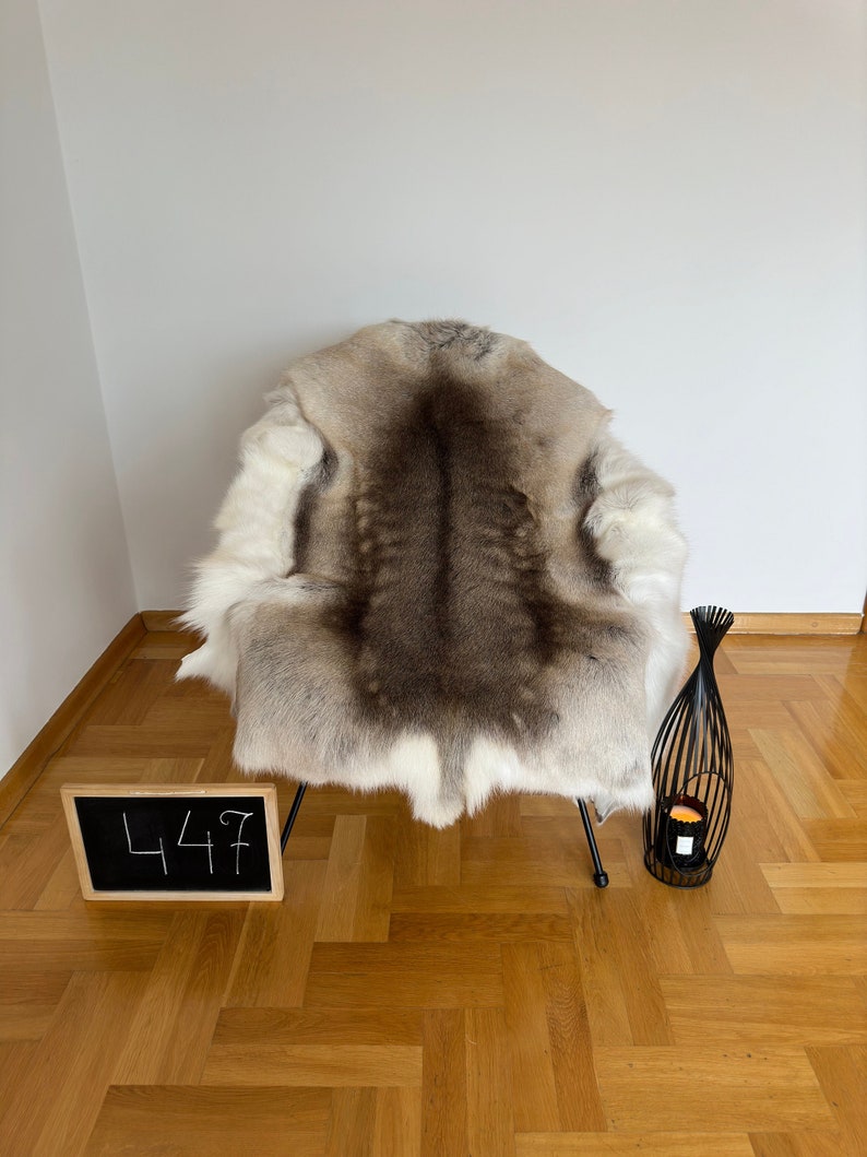 Exclusive Reindeer Hide Unique Giant Size 148 X 117 Cm Reindeer Skin ...