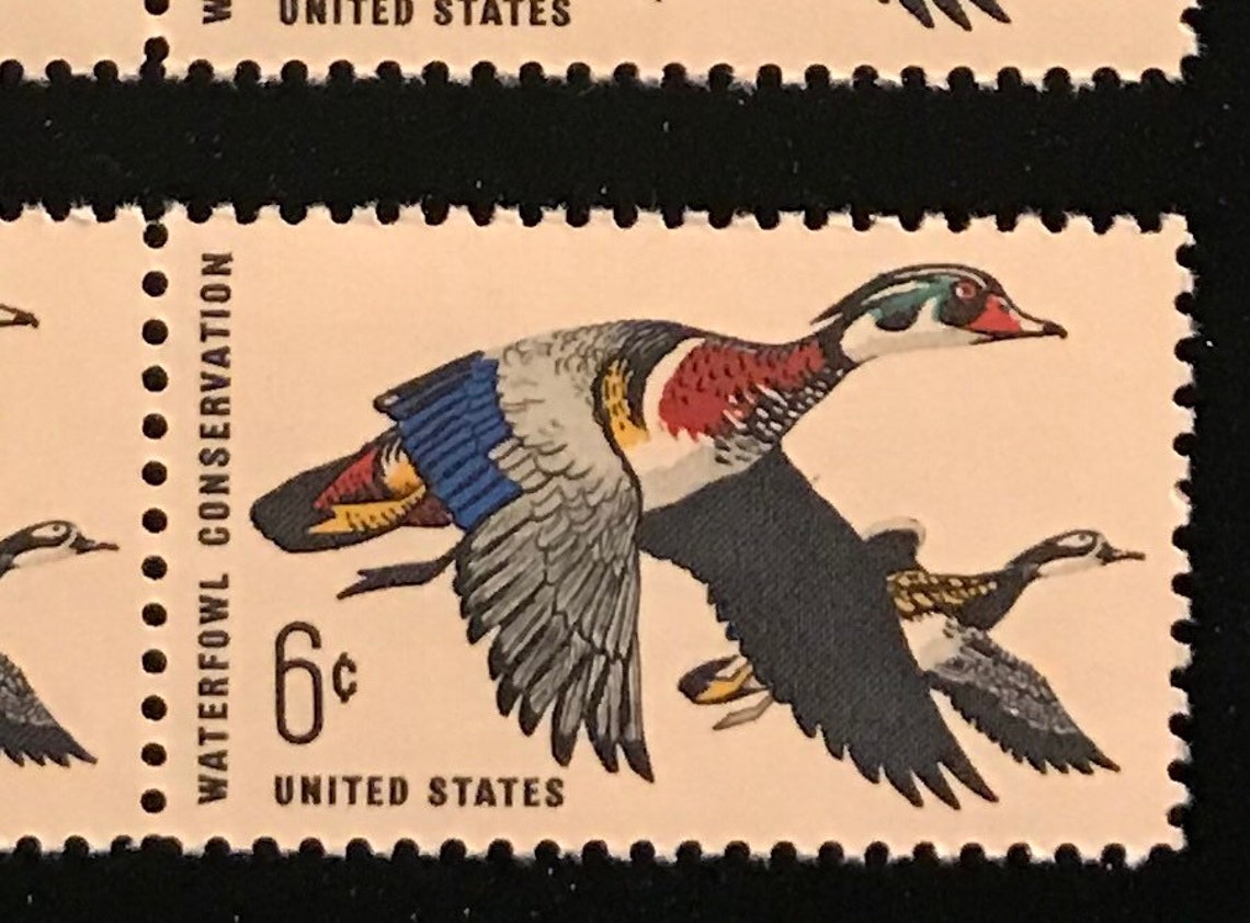 Waterfowl Conservation Genuine Vintage Duck Stamps 1962 Pack - Etsy