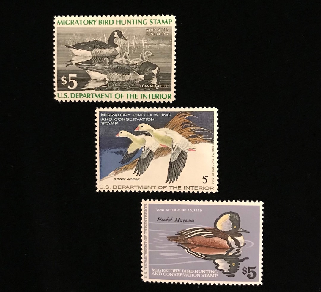 RW43,RW44,RW45, MNH, US Duck Stamps, Set of 3, Vintage 1976 to 1978 - Etsy