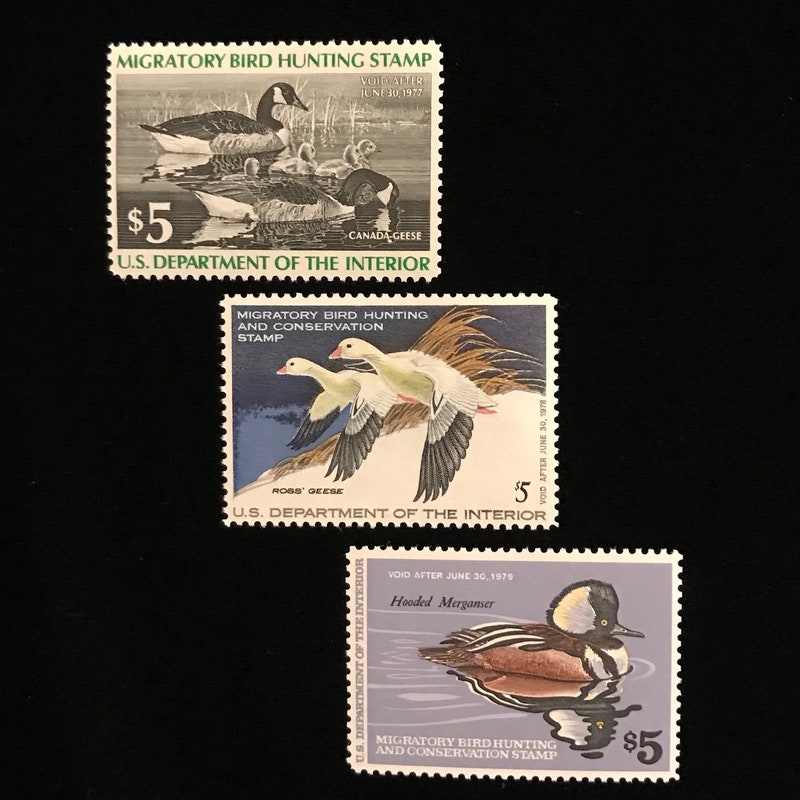 Vintage Bird Stamps - Etsy
