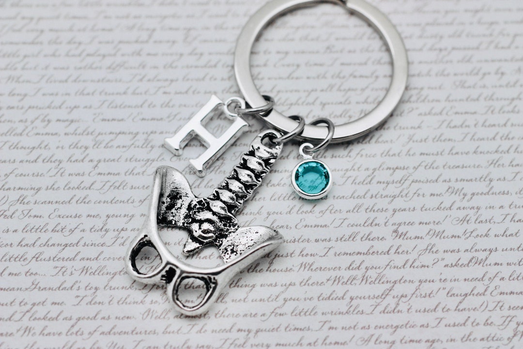 Anatomical Spine and Pelvis Charm Key Ring, Chiropractor Gift, Spine ...