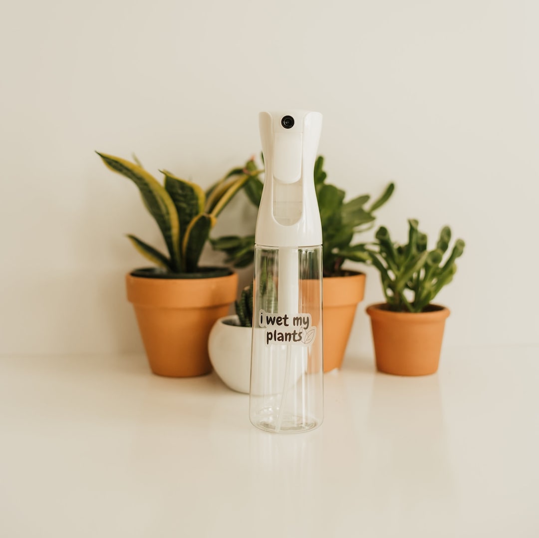 Plant Mister, Plant Spritzer, Vintage Plant Mister, Glass Plant Mister ...